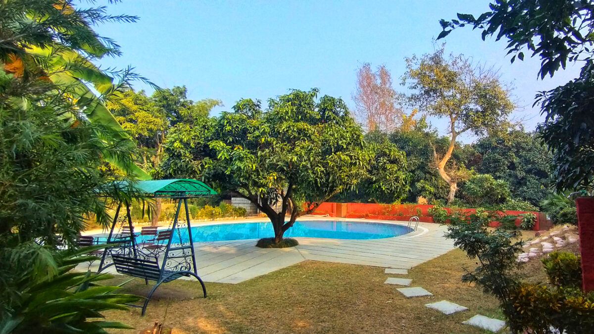 Resort Gallery - Serenity Corbett